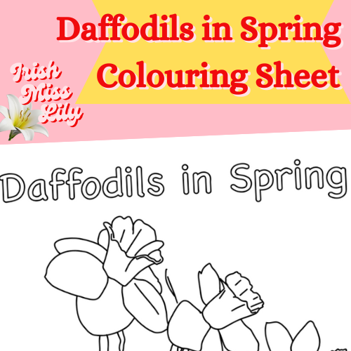 Mash > Spring > Daffodils in Spring - Colouring Sheet