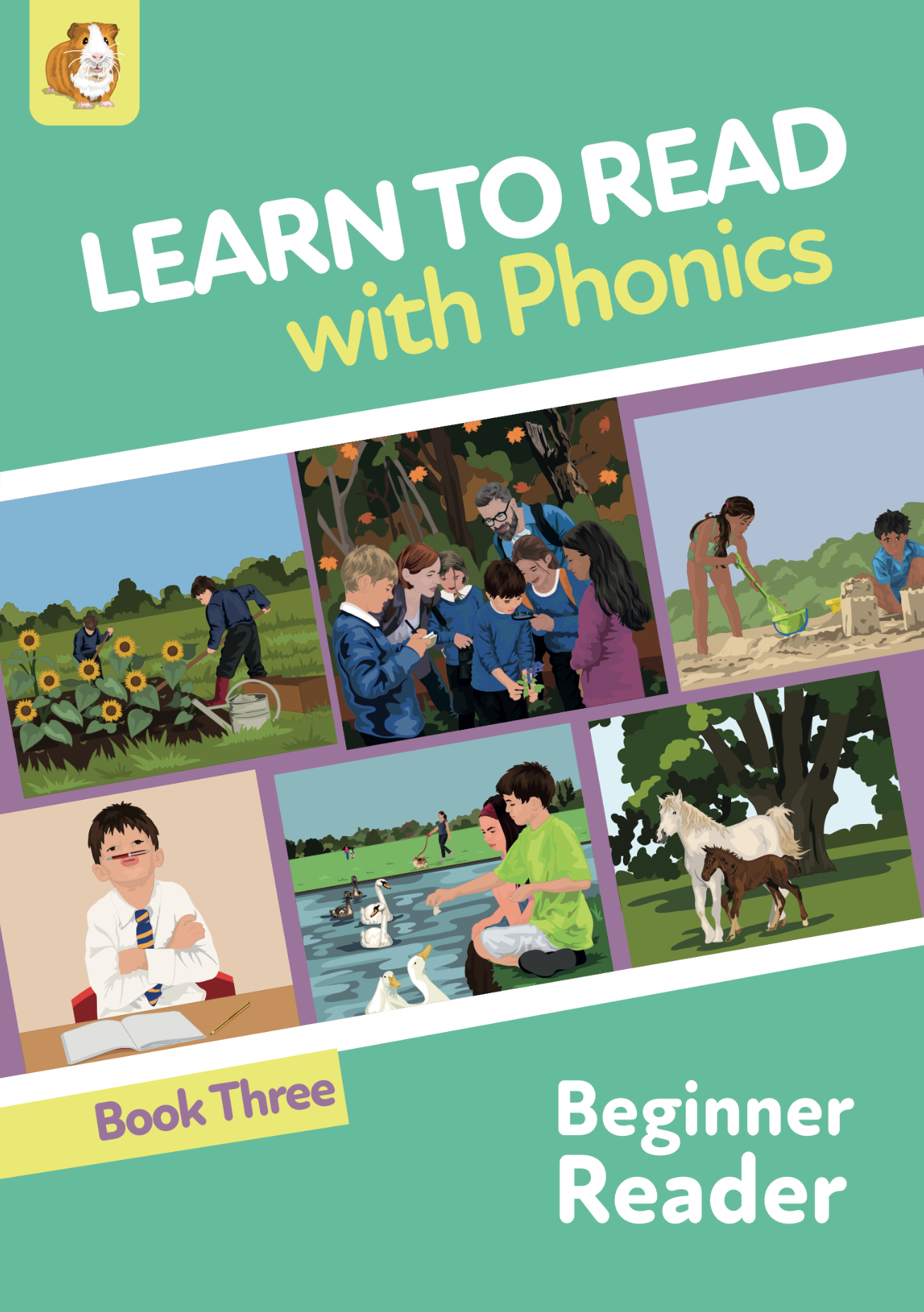 Mash > Class Level > Learn To Read Rapidly With Phonics: Beginner ...