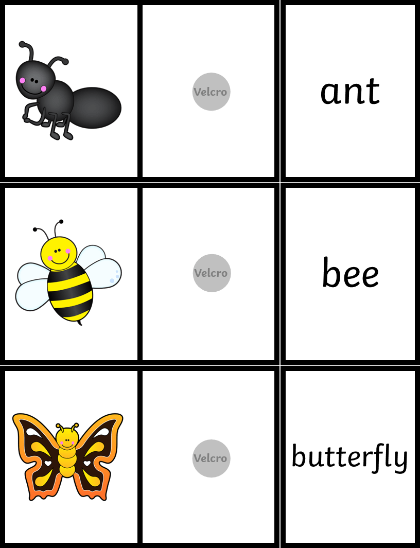 Mash > Themes > Minibeasts Word to Picture Match TASK BOX