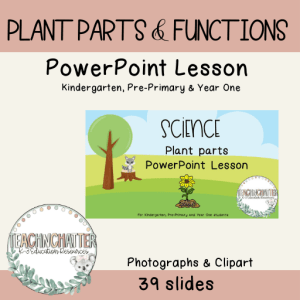 Parts Of A Flower Ks1 Powerpoint