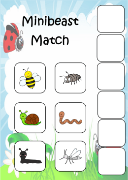 Mash > Minibeasts > Minibeast Match