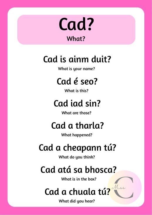 Mash > Gaelscoileanna > Ceisteanna – Question Words as Gaeilge Bundle